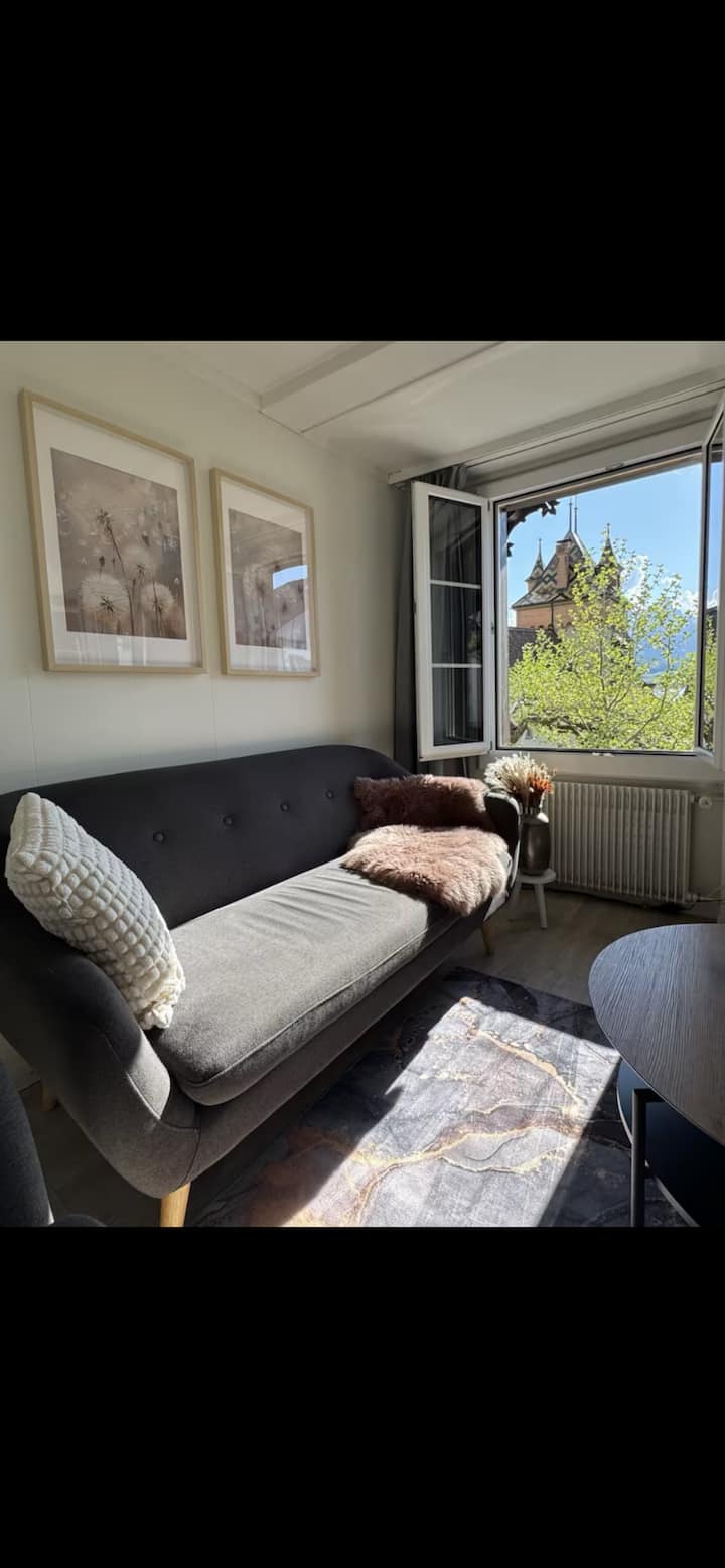 Familien-apartment Beim Schloss Oberhofen - Thun