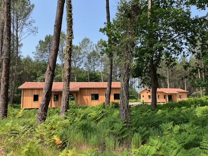 Jorgette Une Cabane Nichée En Lisière De Forêt - Mimizan