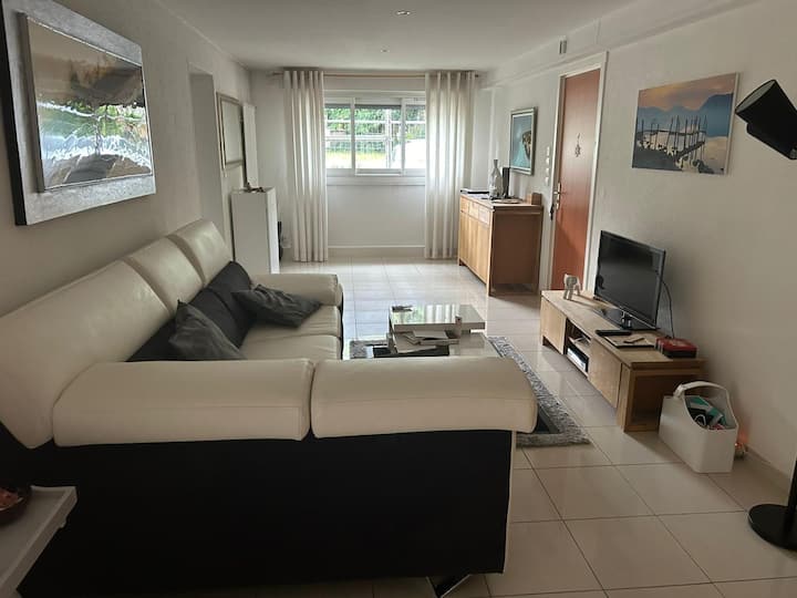 Appartement Confortable  Idéal Court Séjour - Ferney-Voltaire