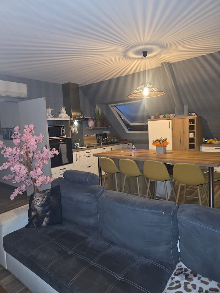 Gîte Jolipa Bord Du Canal Nantes-brest, - La Gacilly