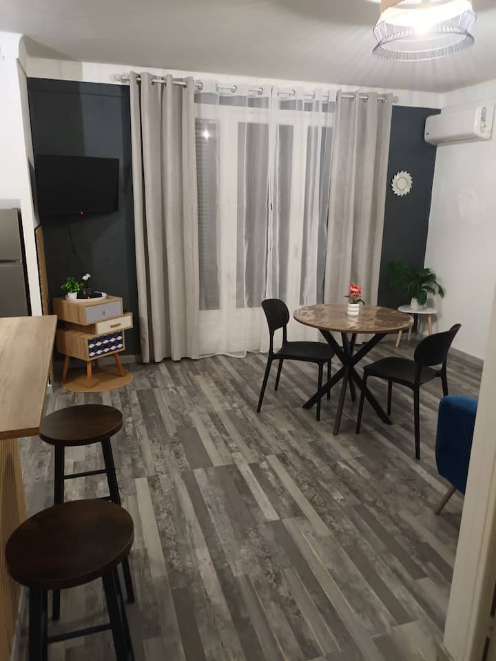 Bel Appartement Climatisé Avec Parking Gratuit - Bastia