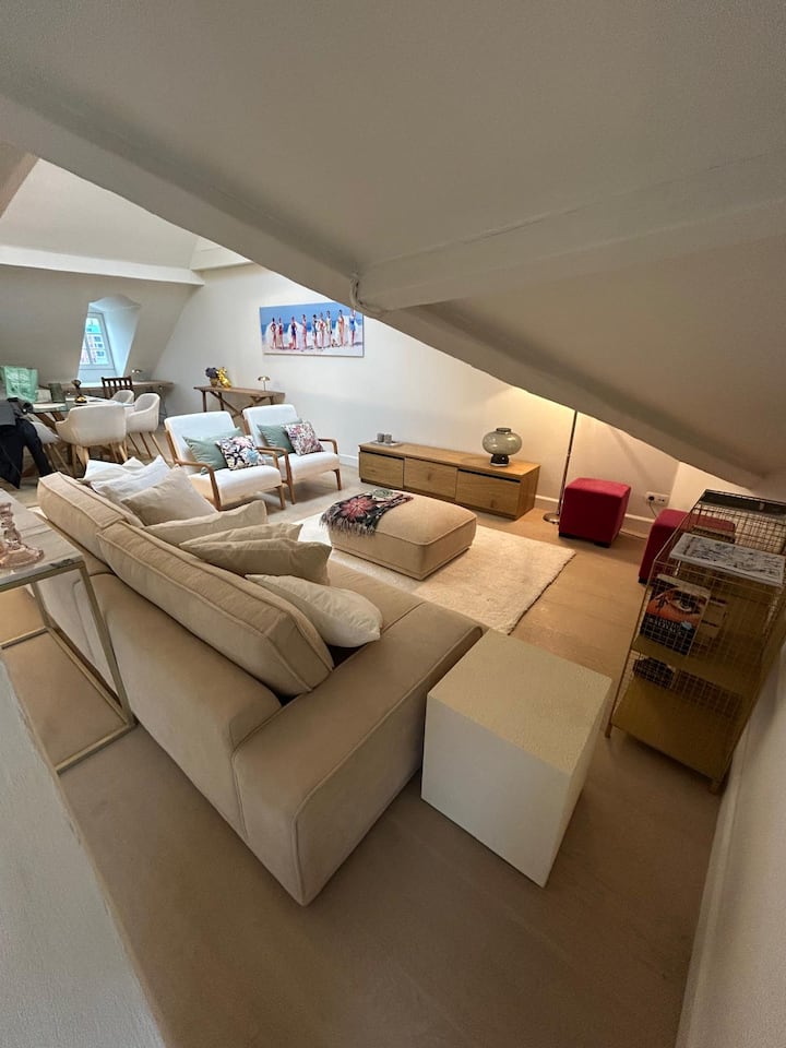 Historic Charm Penthouse Leuven - 루벤