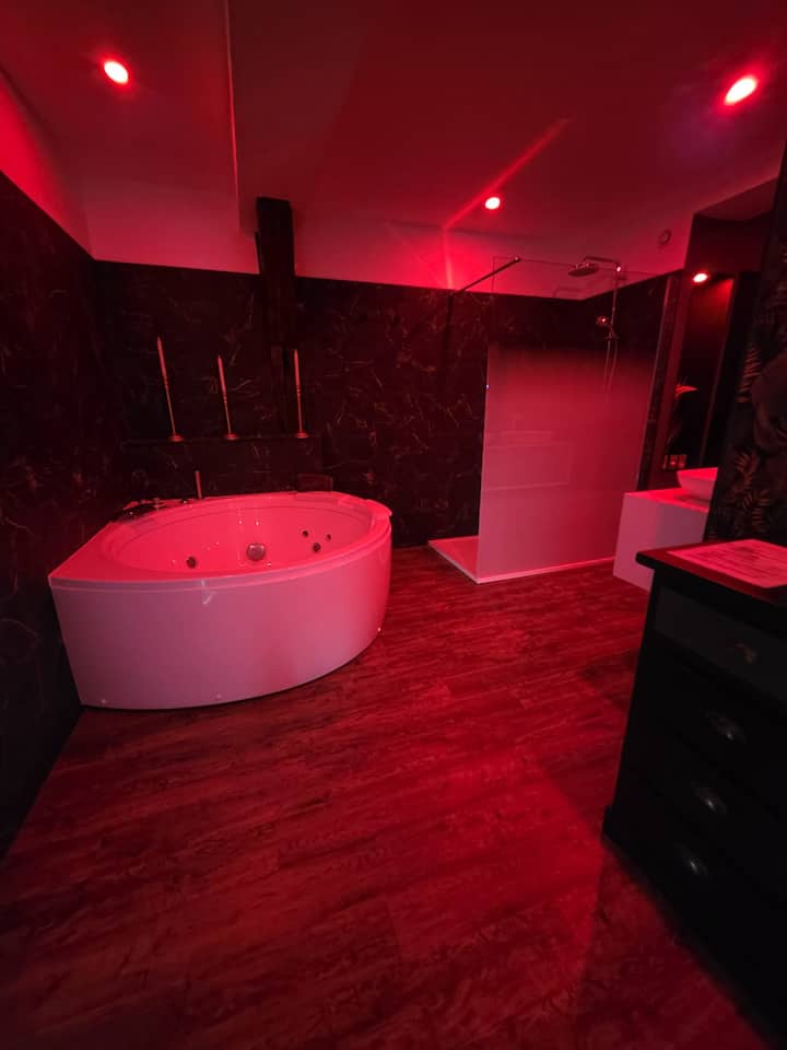 Splendide Appartement Cv Balnéo - Clim - Châlons-en-Champagne