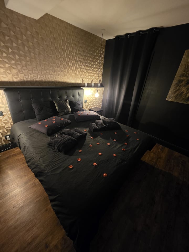 Splendide Appartement Cv Balnéo - Clim - Marne