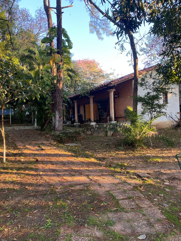 Apacible, Aire Puro, áRboles Antiguos Brisa Suave - Caaguazú