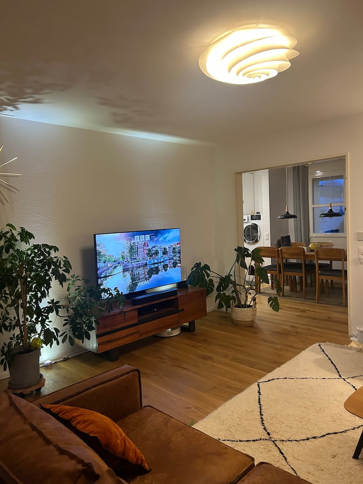 Modern & Spacious: 90m² Apartment Near City Center - Bâle