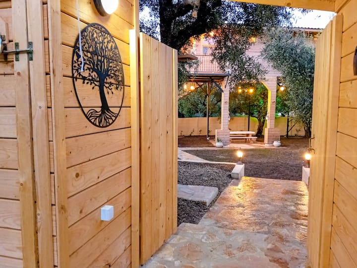 Magic Treehouse - Zante