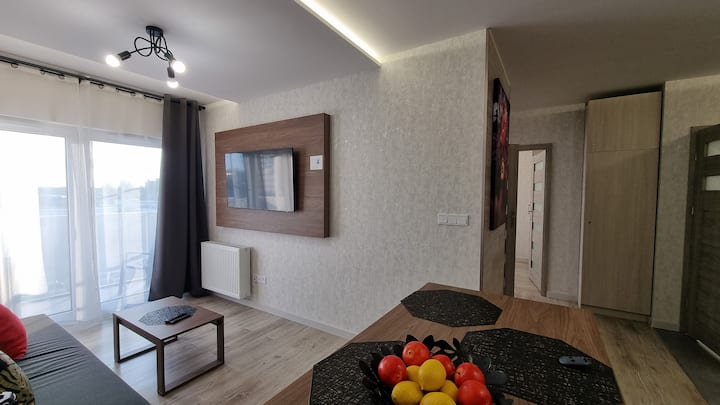 Q Apart Zenith-three Rooms, Air Conditioni, Garage - ウッチ