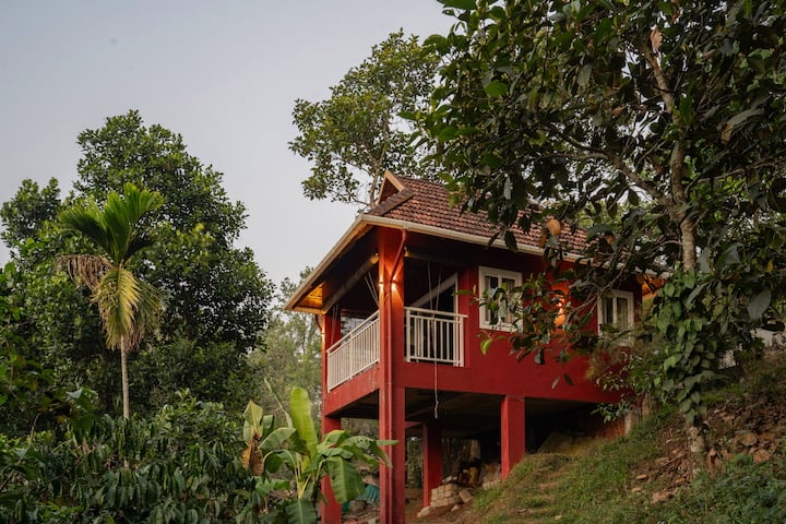 Basitat Stays | Kozzy Meadows | Munnar - Idukki