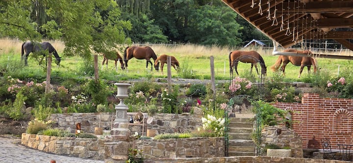 Apartment Marie Mit Blick In Den Garten - Rinteln