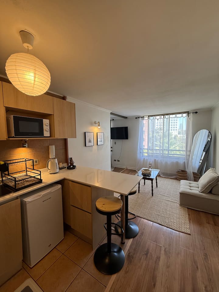 Cozy And Stylish Apartment Brand New Furnitures - Chile