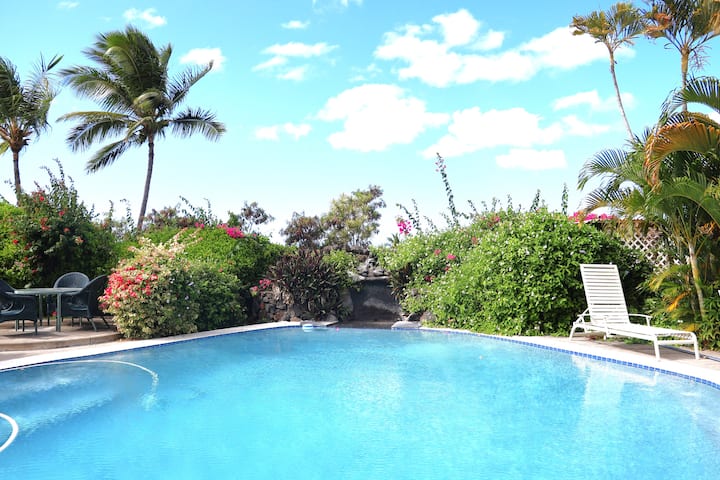 Central Luxury Oceanview Retreat Pool + Spa 2 Bed - Kailua-Kona, HI