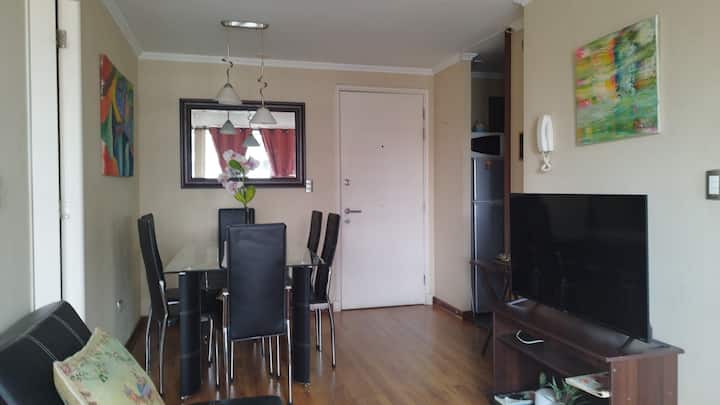 Depto.temuco Centro, Parking, Wifi 1 A 6 Pers. - Temuco