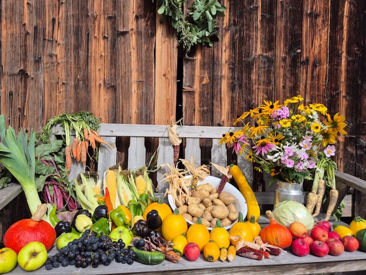 Gemütliche, Neu Renovierte Wohnung Auf Bio Hof - Innsbruck
