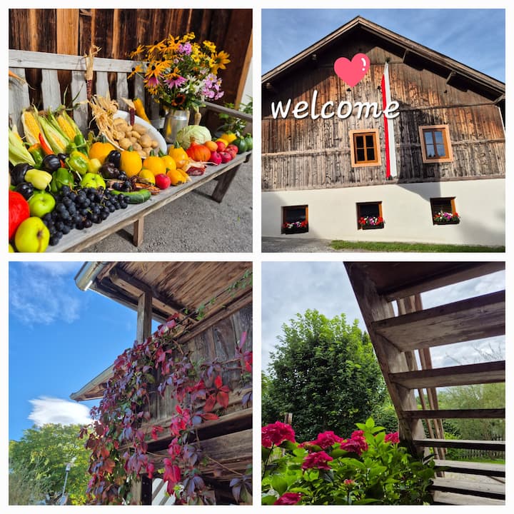 Gemütliche Wohnung Auf Bio Hof Saniert Bis März26 - Innsbruck