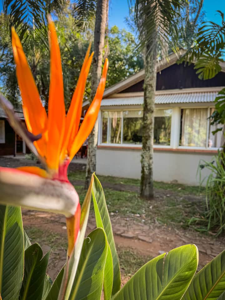 Cabañas La Aventura - Posadas