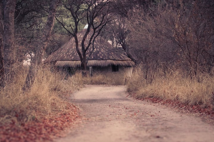 Raintree Cottage - Self-catering Cottage. - Botswana