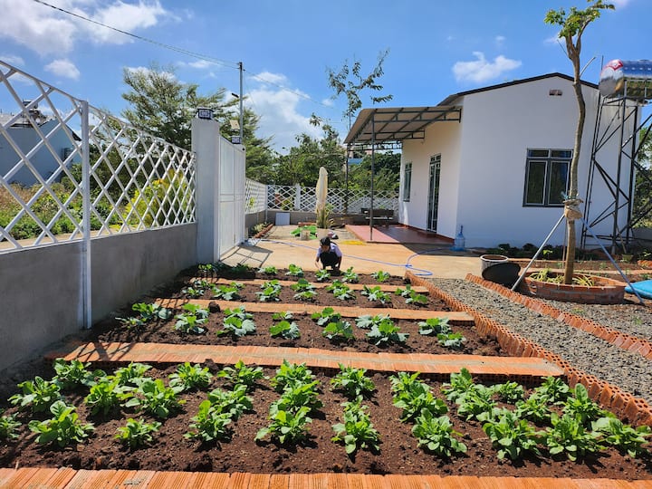 Garden Retreat Nguyên Căn – Không Gian Xanh. - Buon Ma Thuot