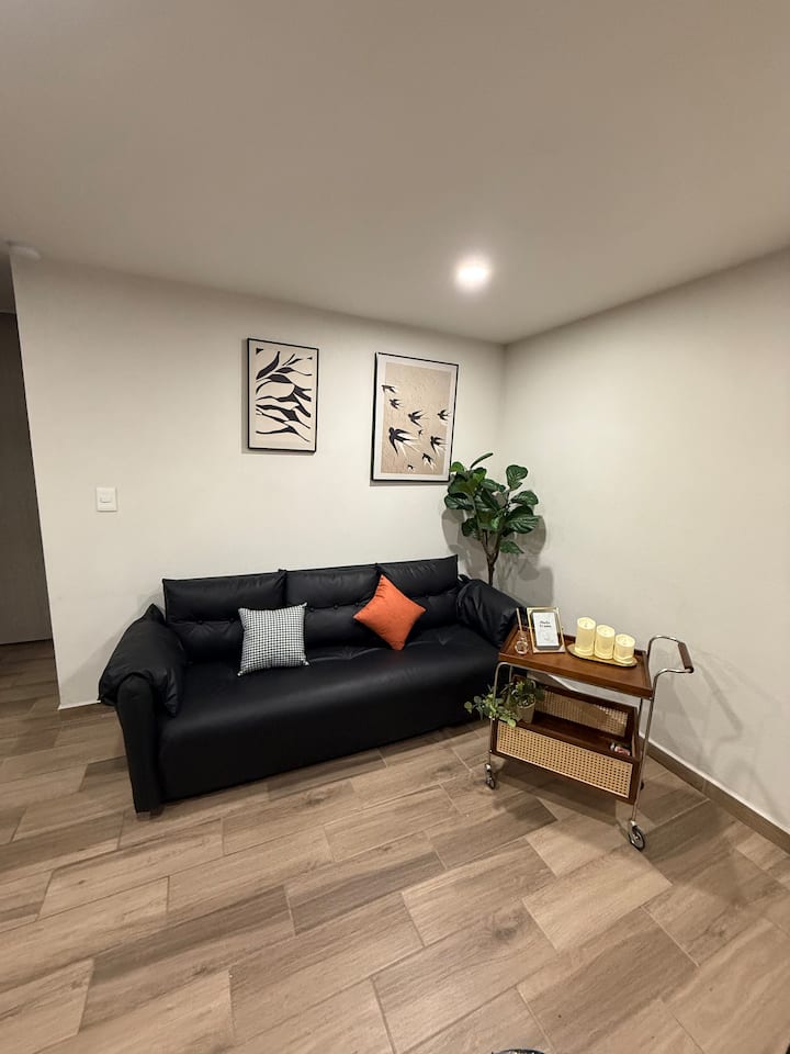 Apartment In The Heart Of Mexico City's Historic - México