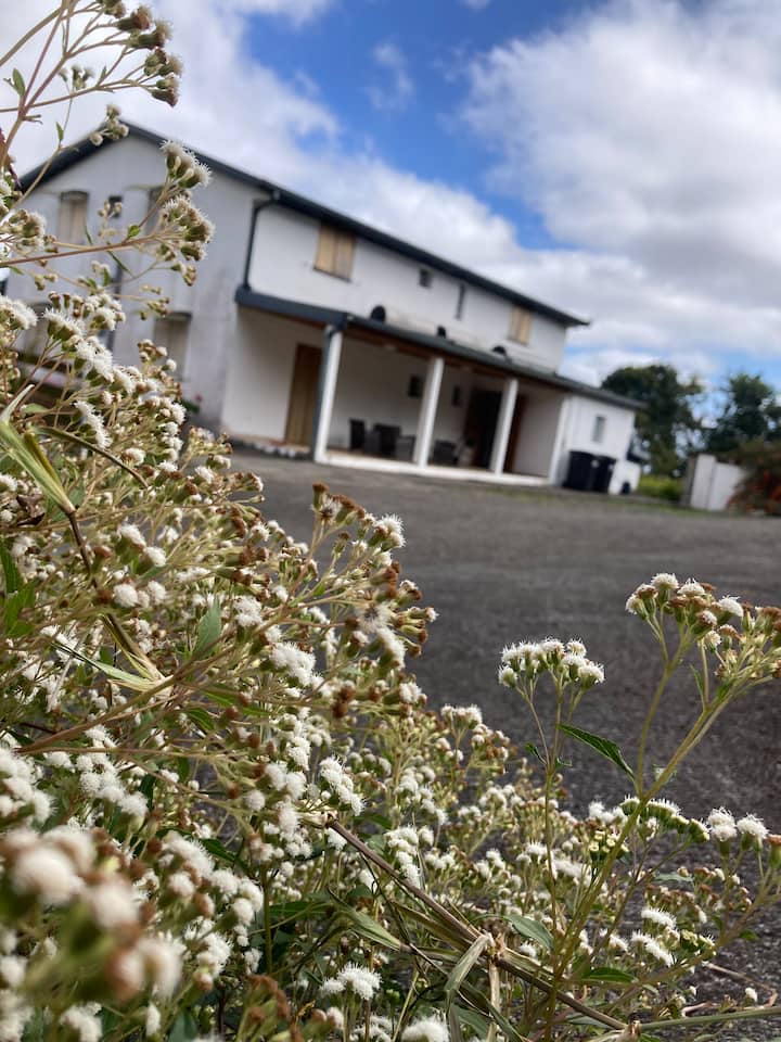 Gîte L’eucalyptus - Le Calme Des Hauts - Saint-Gilles les Bains