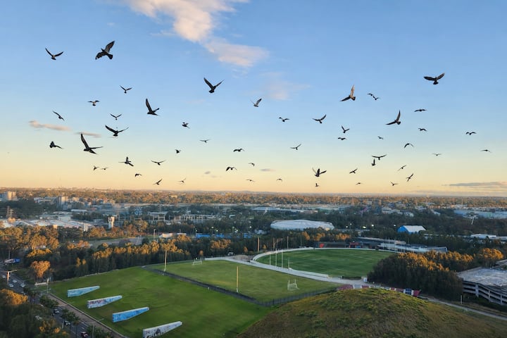 Stylish Olympic Park Stay | Park View & Dining - Sydney