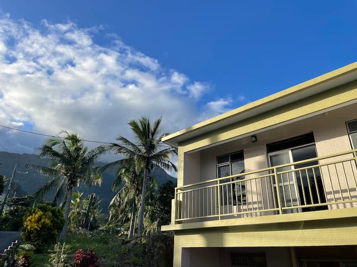 Old Coconut  老椰樹 - 창빈 향