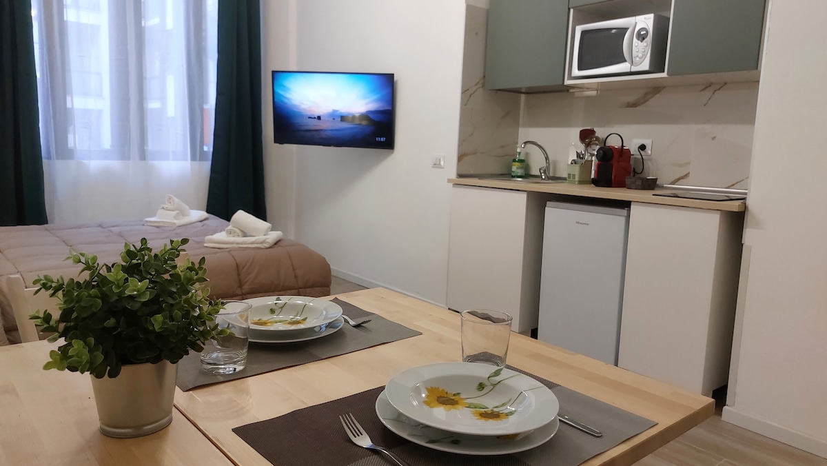 The Russian Flower "15 minutes by metro from the Duomo" - Apartments ...