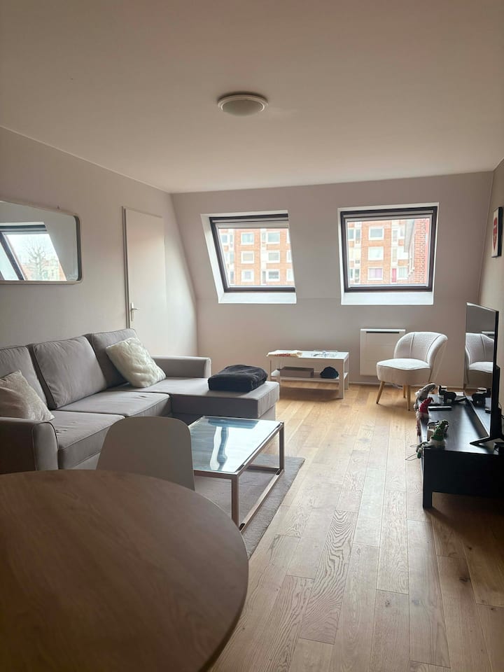 Appartement Confort, 2 Chambres-lille - Lambersart