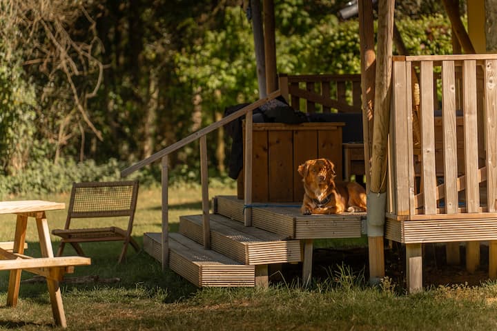The Forest Escape | 5 Pers. | Heater & Hottub - Huizen