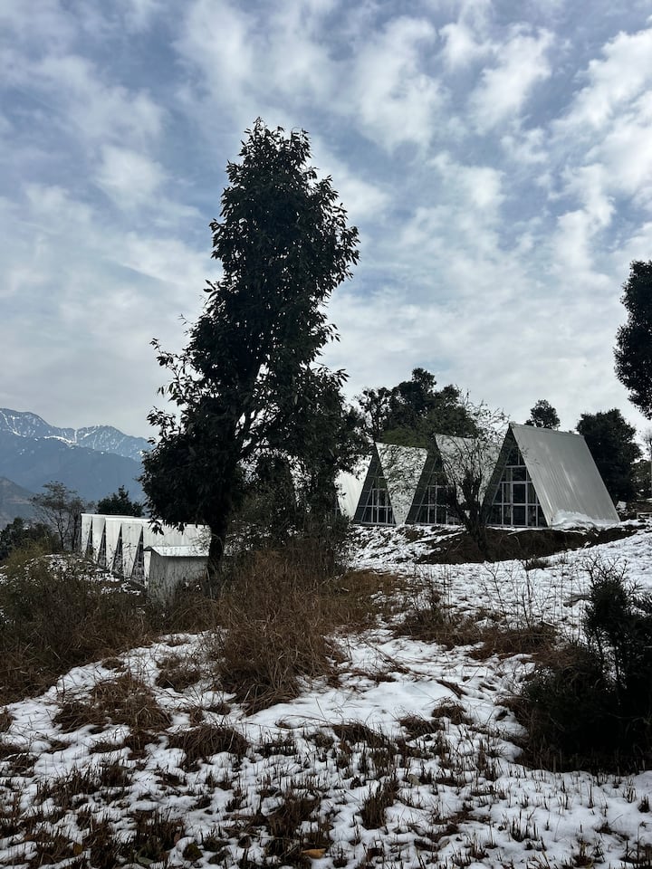 32 Guests | Nest+duplex+tent | Mountain Retreat - Palampur