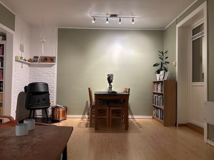 Cozy Apartment 20 Min From The Oslo City Centre - Oslo
