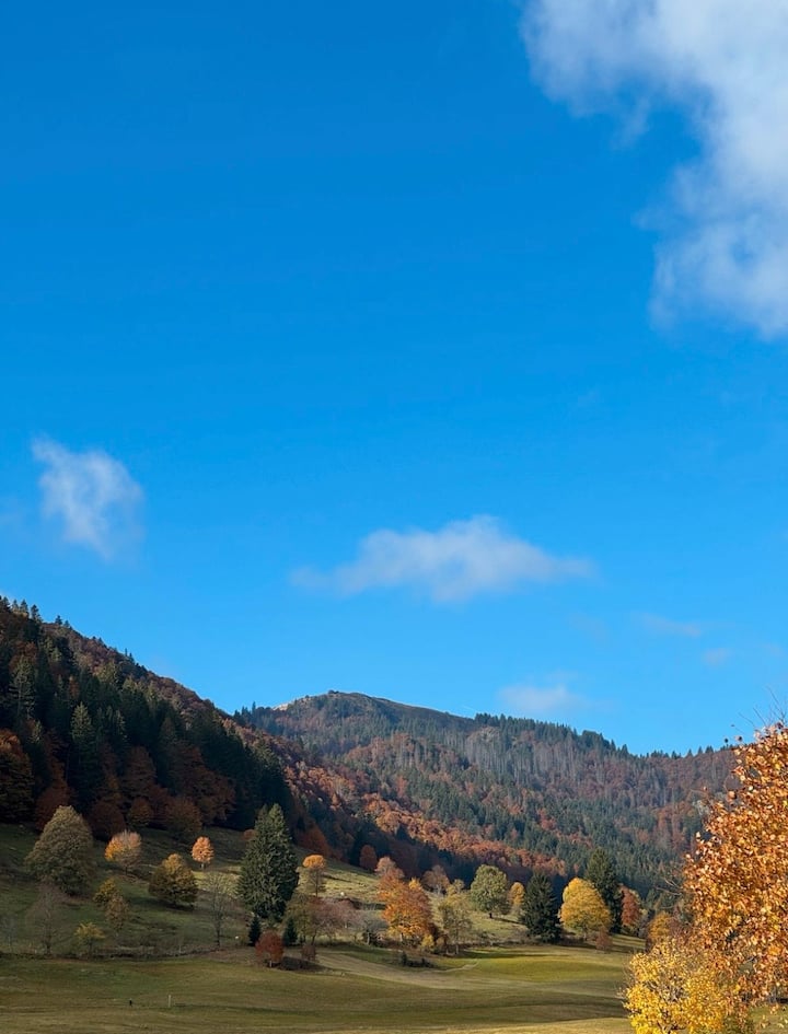 Ferienwohnung Im Menzenschwander Tal - Feldberg