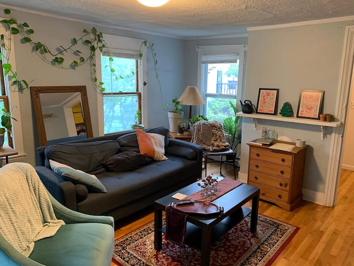 Bright Spacious 2br Apt., 3d Floor, Near T - Cambridge, MA
