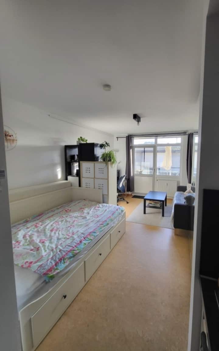 Helle Gemütliche 1-zimmerwohnung - Göttingen