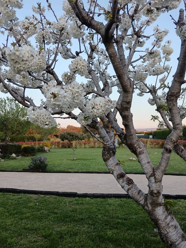 Villa De Charme En Provence - Calme Et Nature - Monteux