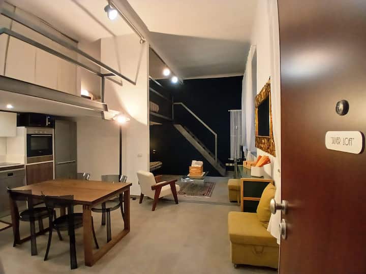 Silver Loft - P.ta Venezia District - Mailand