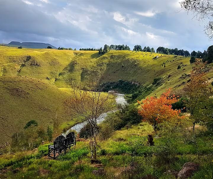 Great @ Brittlewood - Underberg