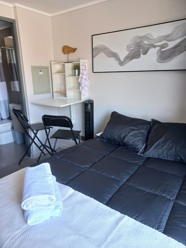 Estudio Nuevo A Pasos Del Movistar Arena Y Metrol2 - Chile