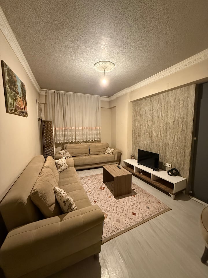 Meydana Komşu Ulaşımı Kolay Merkezi Konumda Daire - Erzurum