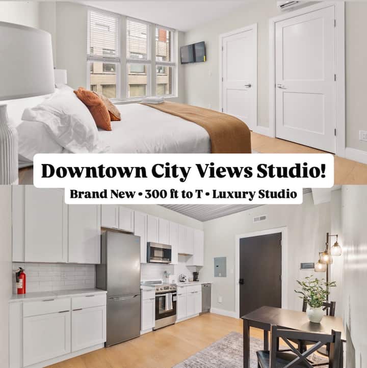 802c Huge Downtown Boston Xl Luxury Studio By T - Cambridge, MA