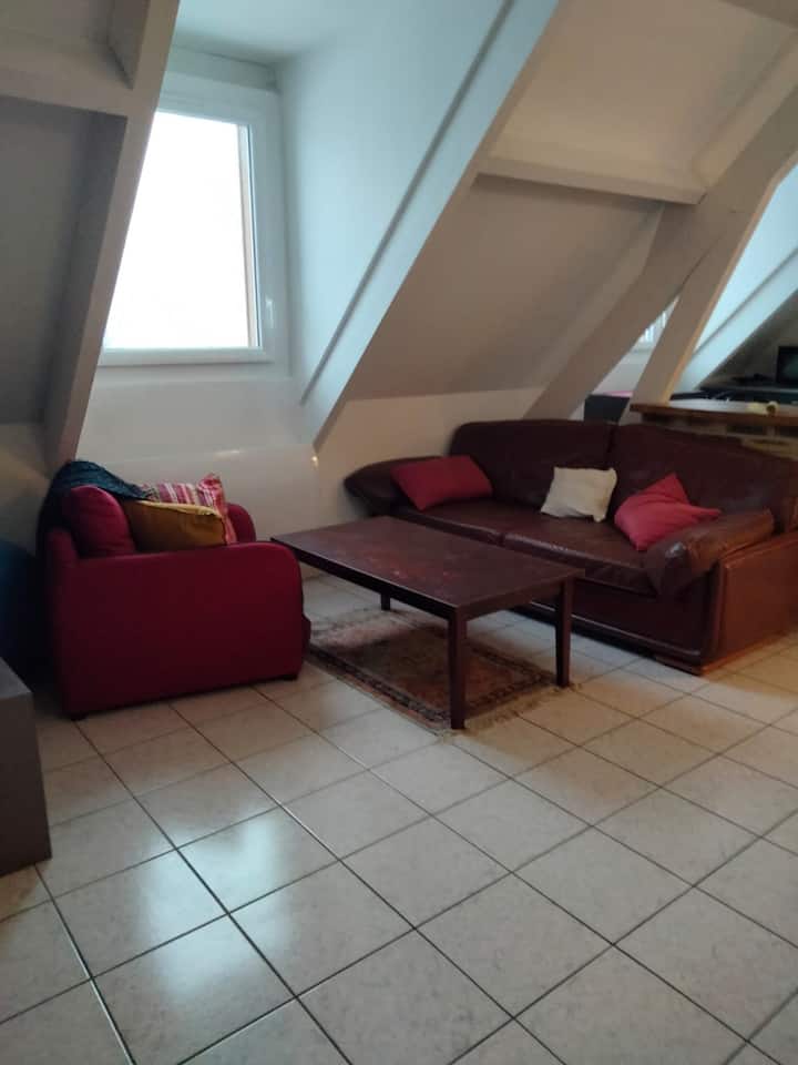 Appartement à 25 Min De Paris - Villepinte