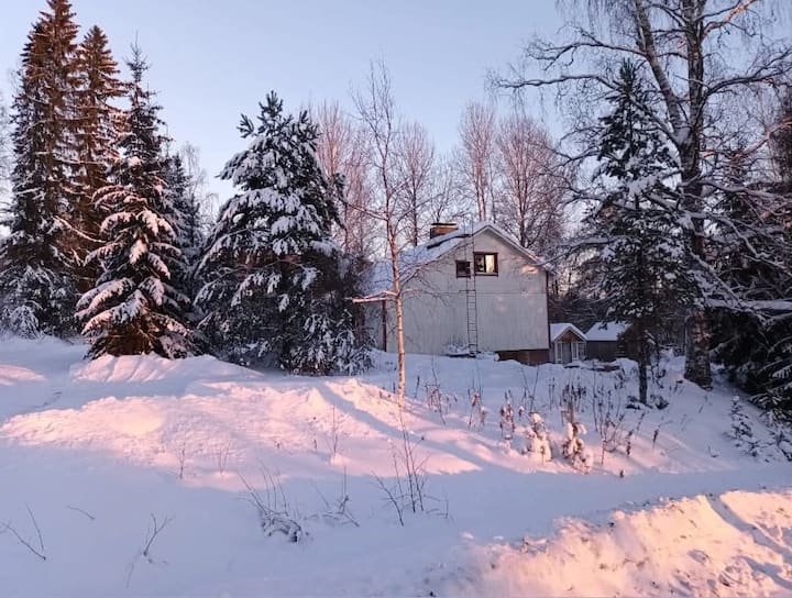 1mh+oleskeluaula+k+wc/ph+et, Puusauna - Nurmes