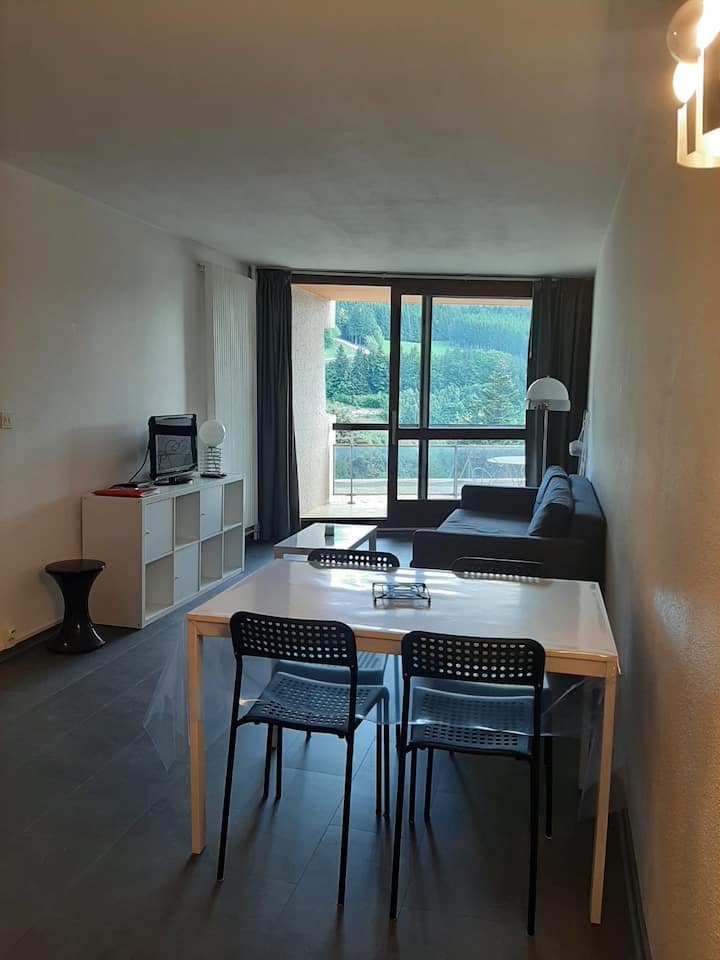 Studio 33m² - 4 Pers - Villard-de-Lans