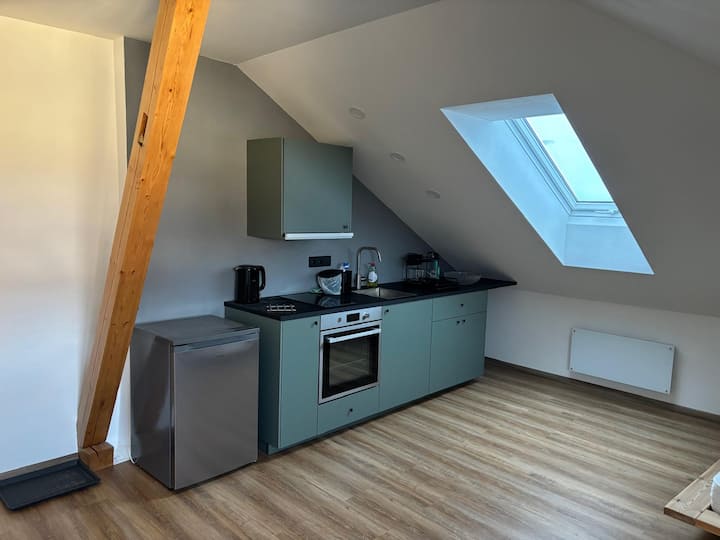 Vysocka Appartement - Žďár nad Sázavou