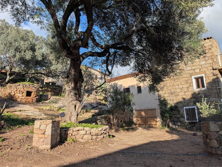 Maison Traditionnelle - Figari