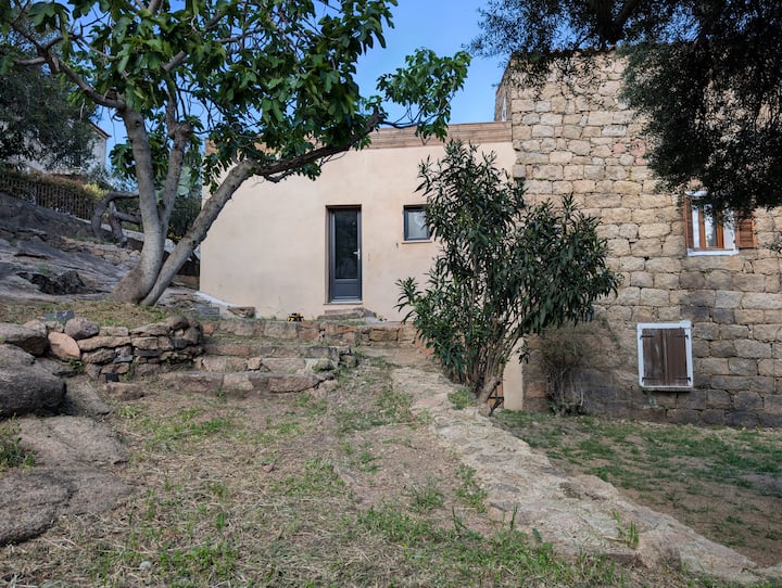 Maison Traditionnelle - Figari