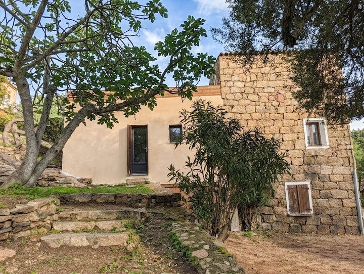 Maison Traditionnelle - Figari