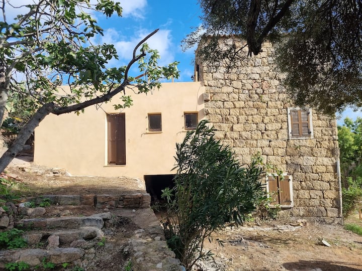 Maison Traditionnelle - Figari