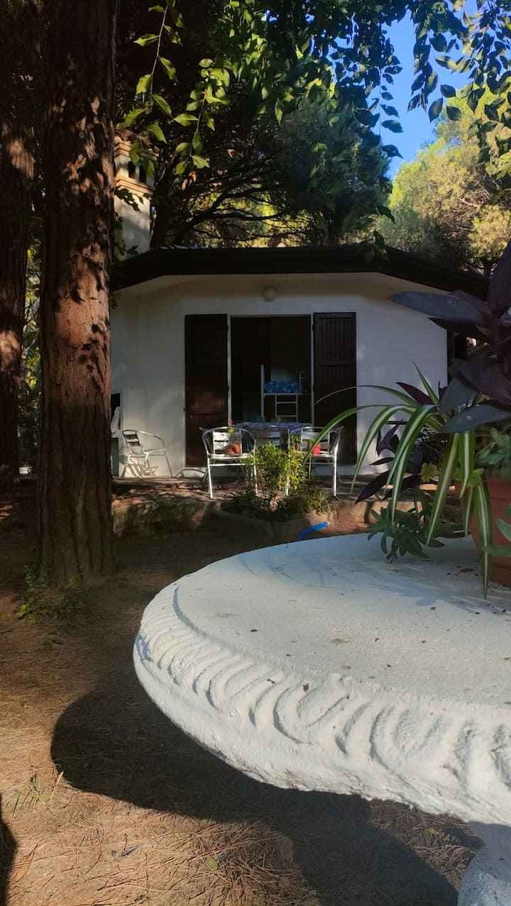 Miniappartamento "Casa Viola" - Eraclea Mare
