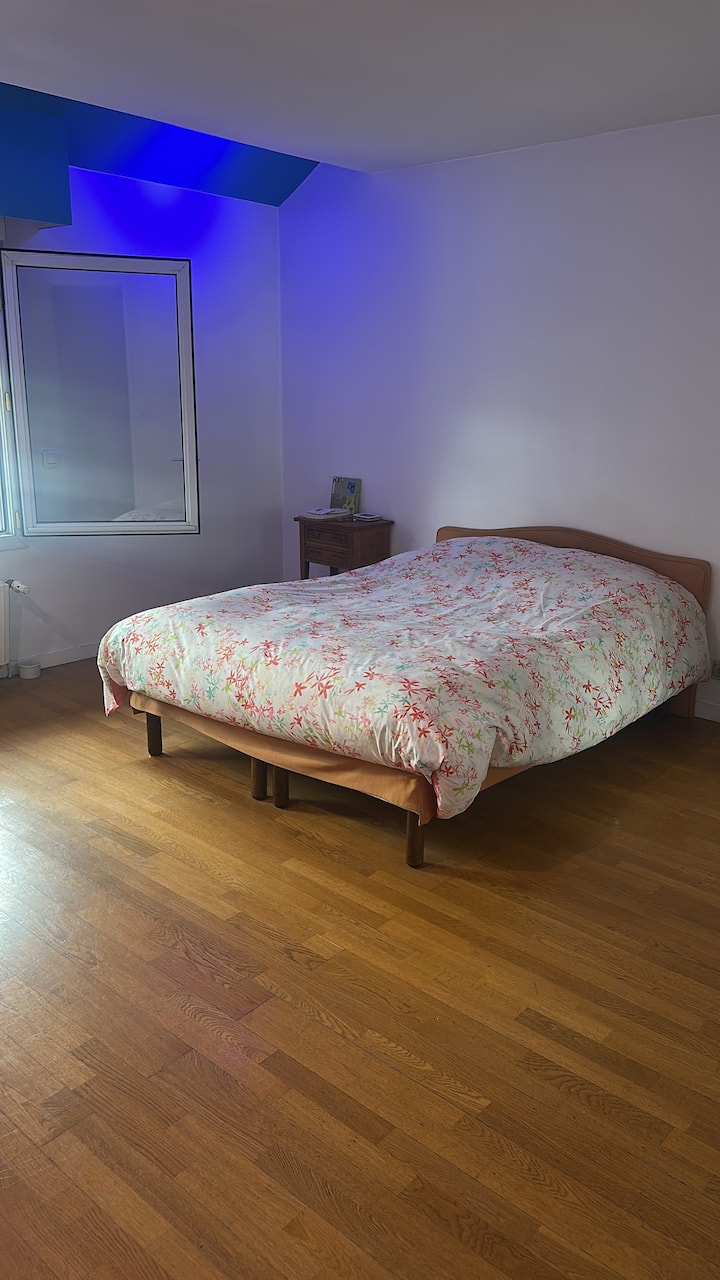 Grande Chambre Privée - Issy-les-Moulineaux